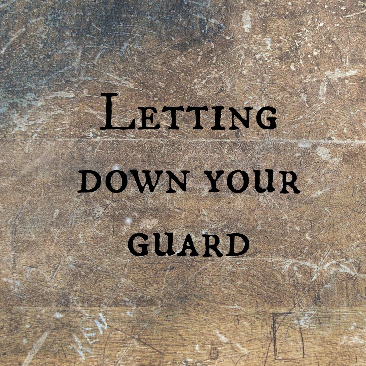 Letting Down Your Guard – Life in the Van